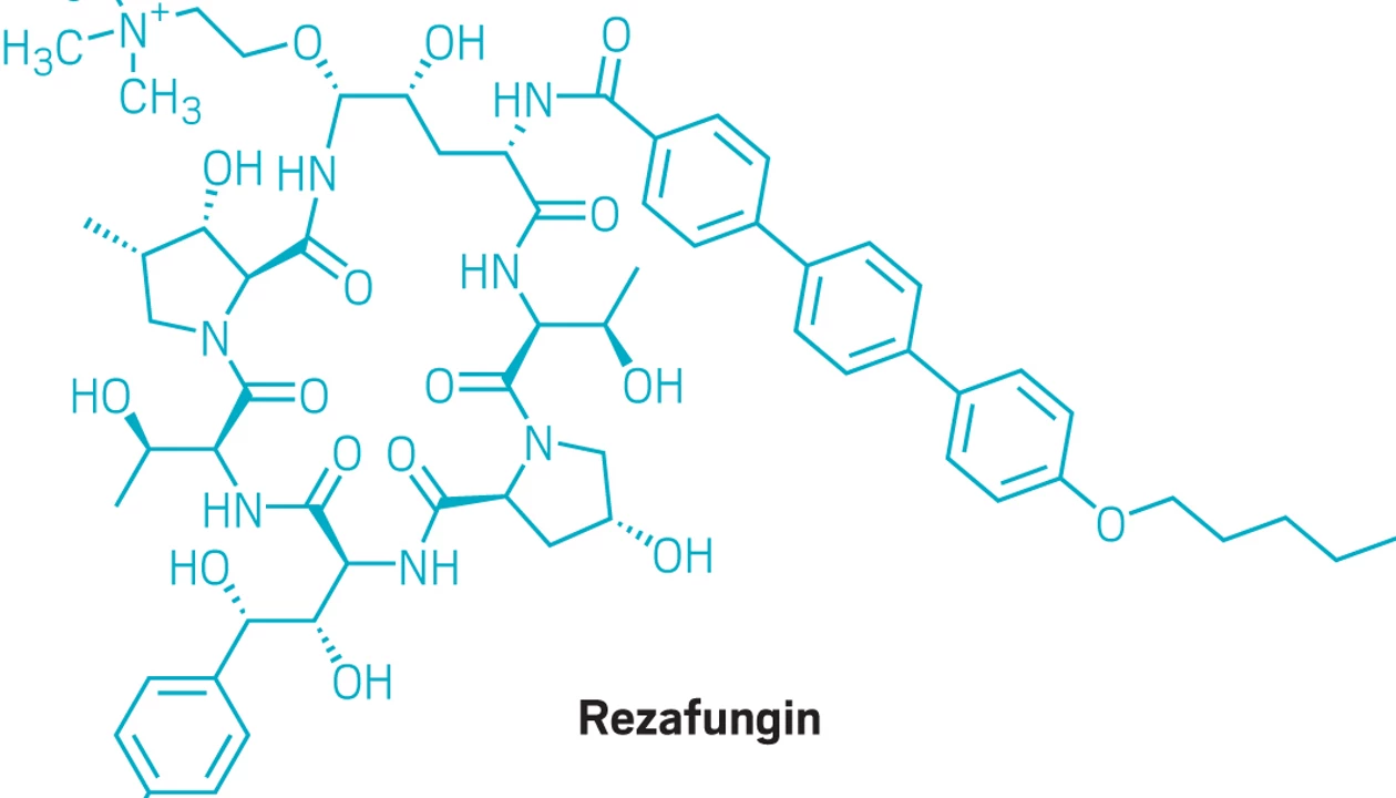 Cidara submits new drug application for and licenses antifungal