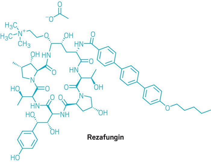 Cidara submits new drug application for and licenses antifungal