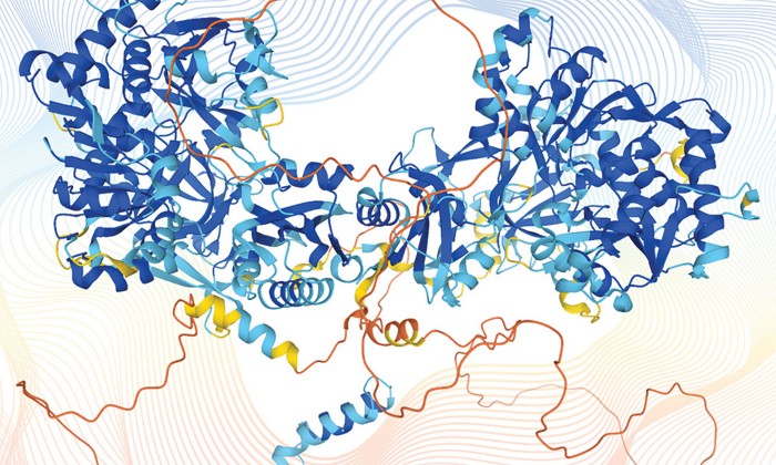 DeepMind releases structure predictions for nearly every known protein DeepMind releases structure predictions for nearly every known protein