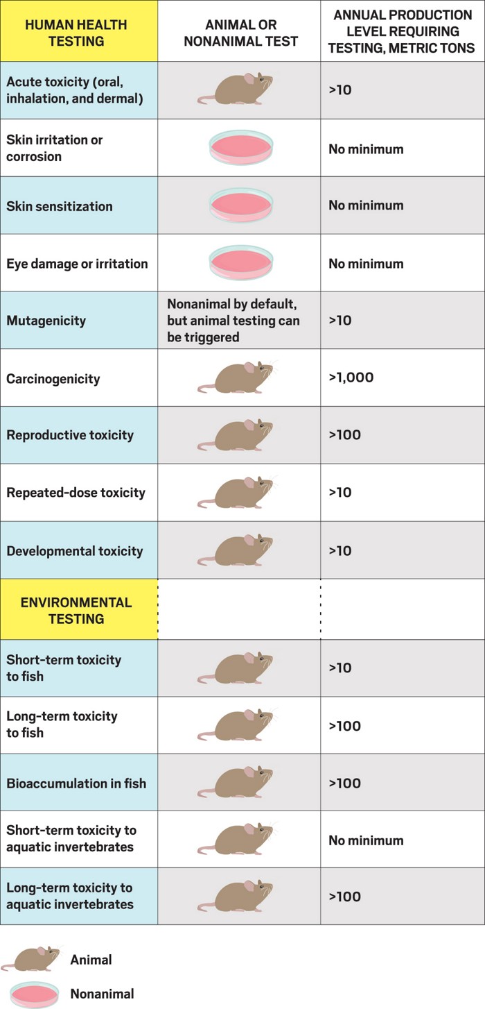 Testing Cosmetics On Animals Graphs