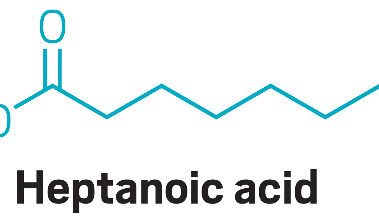 ChainCraft raises $11 million for fatty acids plant