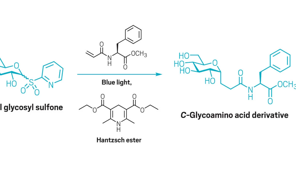 Blue-light special offers sweeter route to 퐶-glycosides