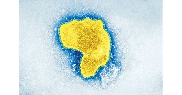 RSV antibody from Sanofi and AstraZeneca approved in Europe