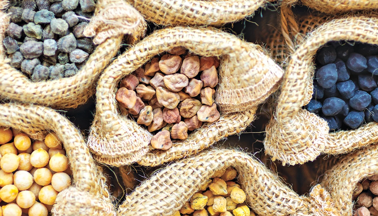 Bayer buys into protein-enhanced chickpea