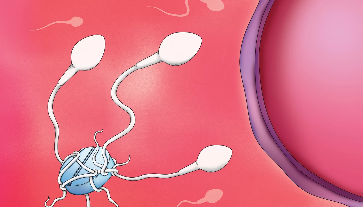 Birth control for men