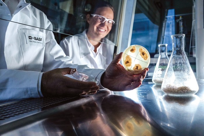 BASF is going deeper into industrial biotech