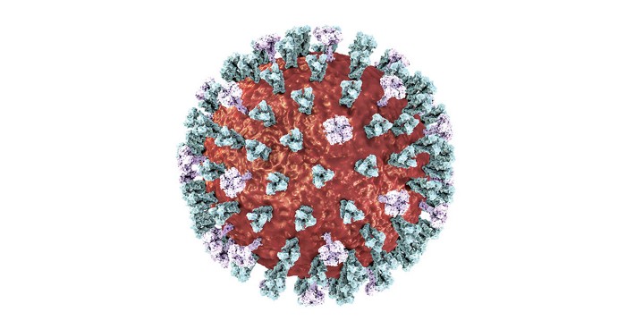 One shot targets 20 flu subtypes