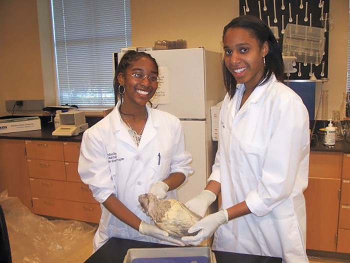 Career Ladder: Candice Z. Ulmer Holland