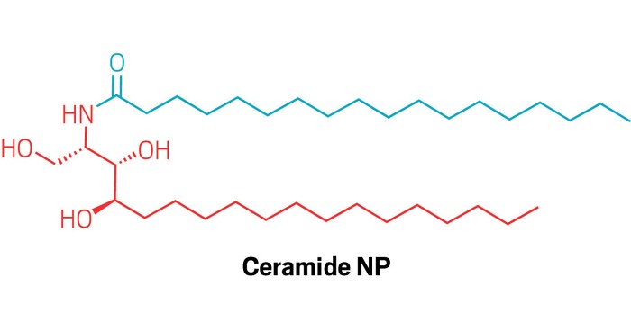 Croda to acquire maker of biobased ceramides