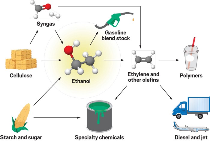 How Cellulosic Ethanol Is Made