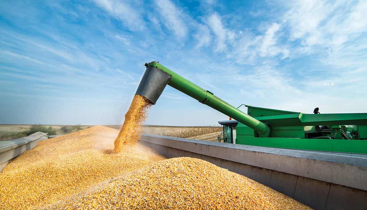US seeks to halt Mexico ban on biotech corn imports
