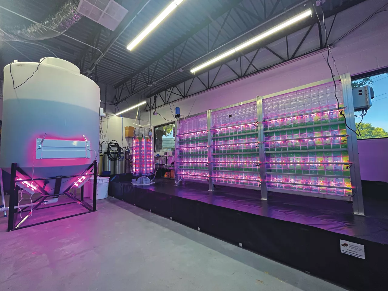 Making cement and concrete nature’s way