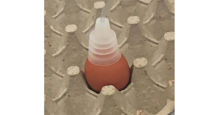 Science tackles chicken feet and chicken sex