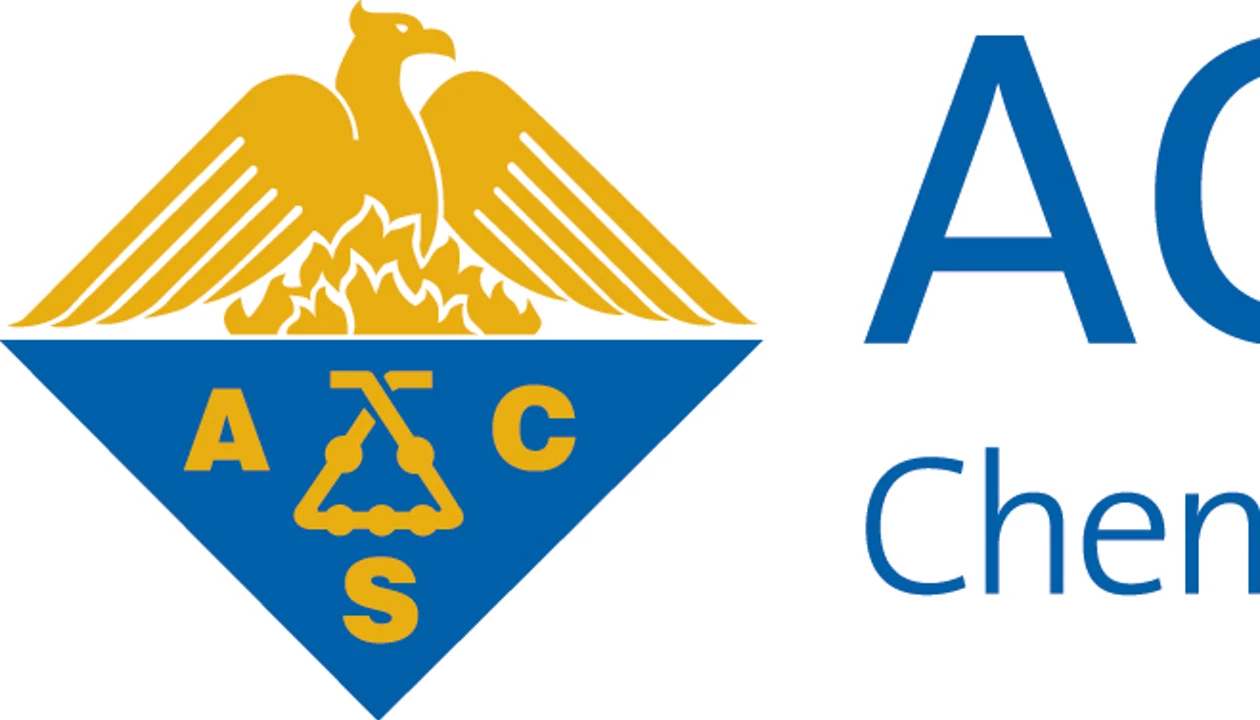 Announcing the 2023 ACS fellows