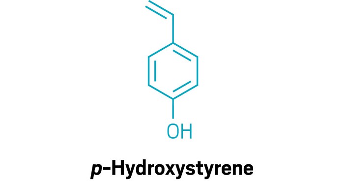 Sumitomo, Conagen to develop renewable p -hydroxystyrene