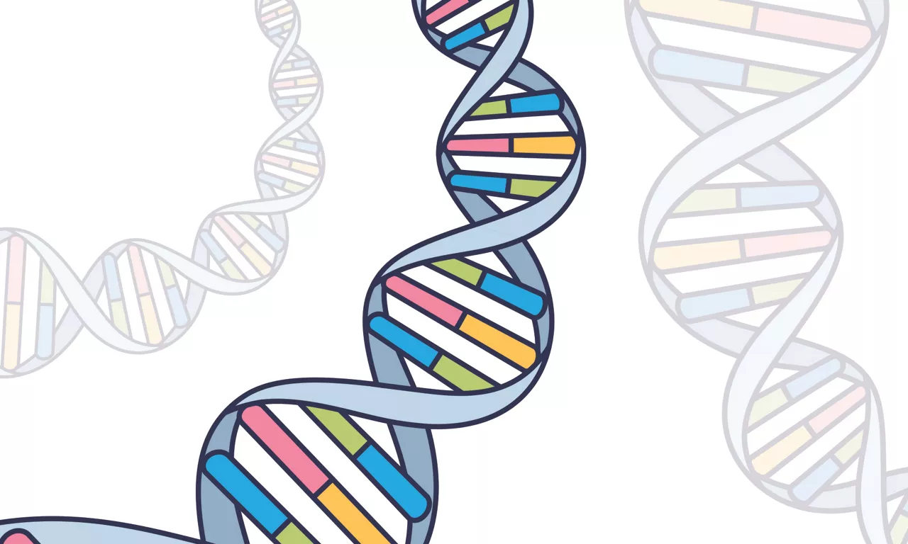 Solving the structure of DNA