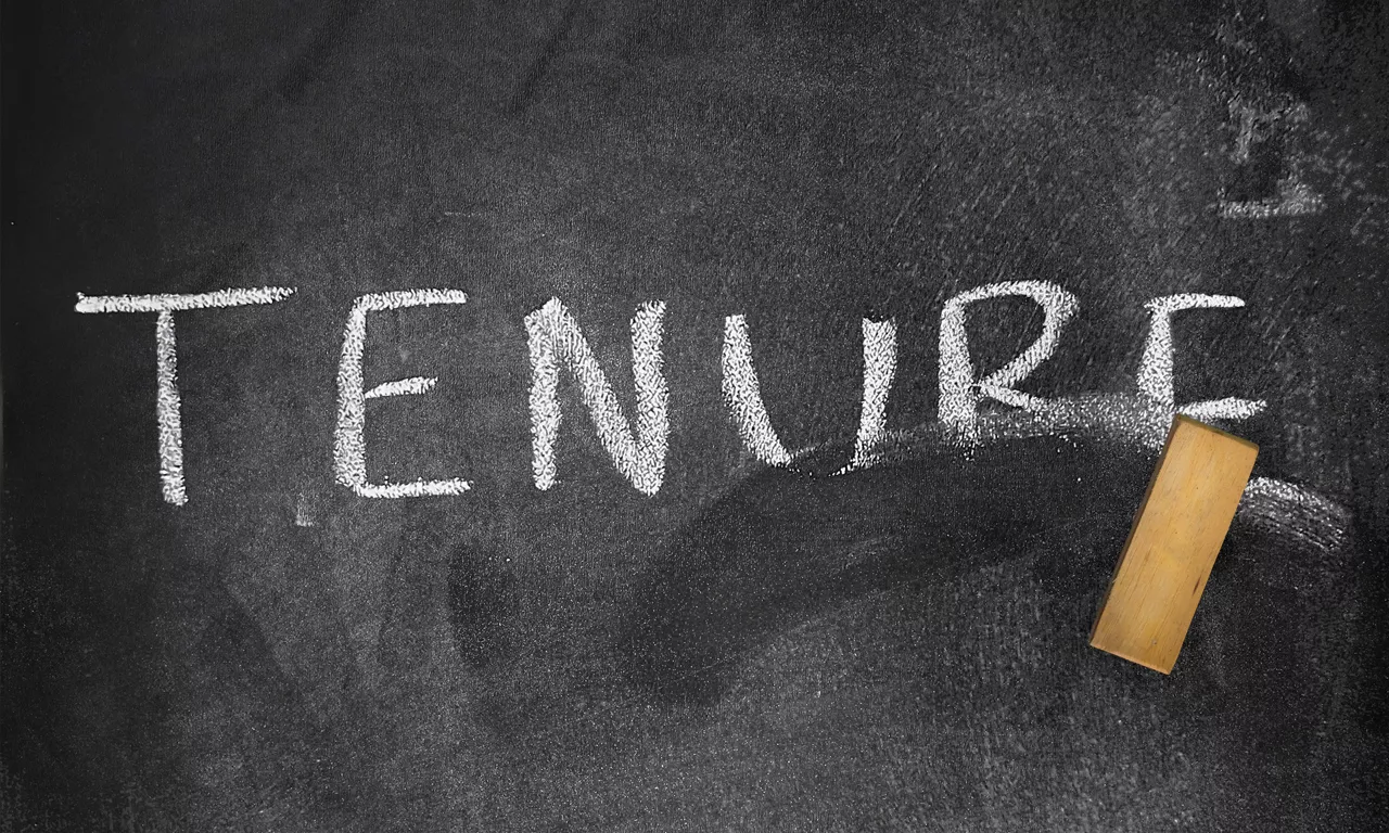 The great tenure debate, again