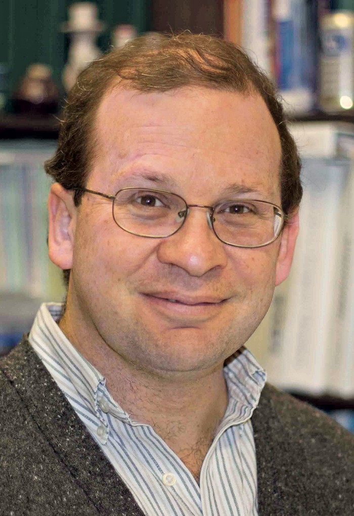 For director-at-large: Daniel Rabinovich