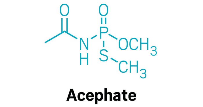 Organophosphate pesticide acephate poses health risks