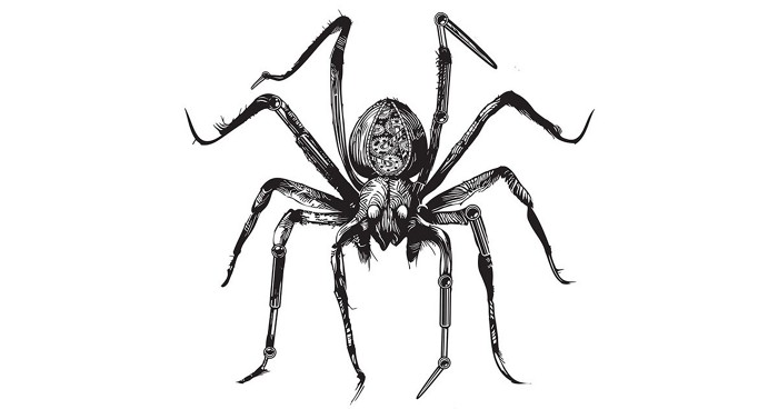 Reanimated spider bots and garden mysteries