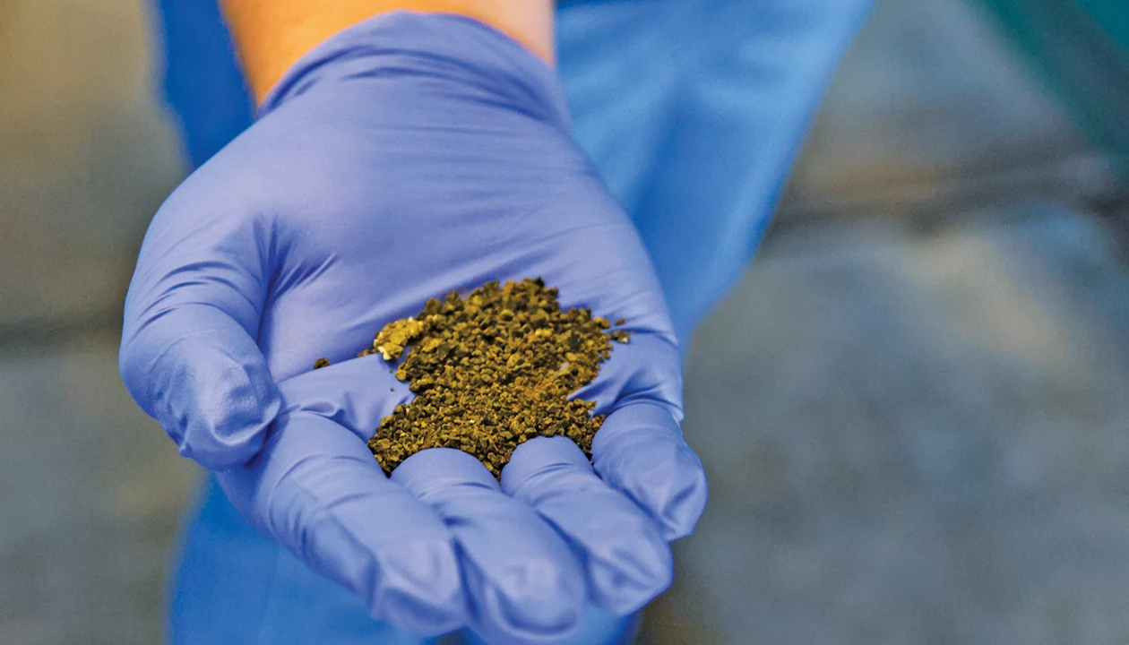 Green Li-ion starts up battery recycling plant