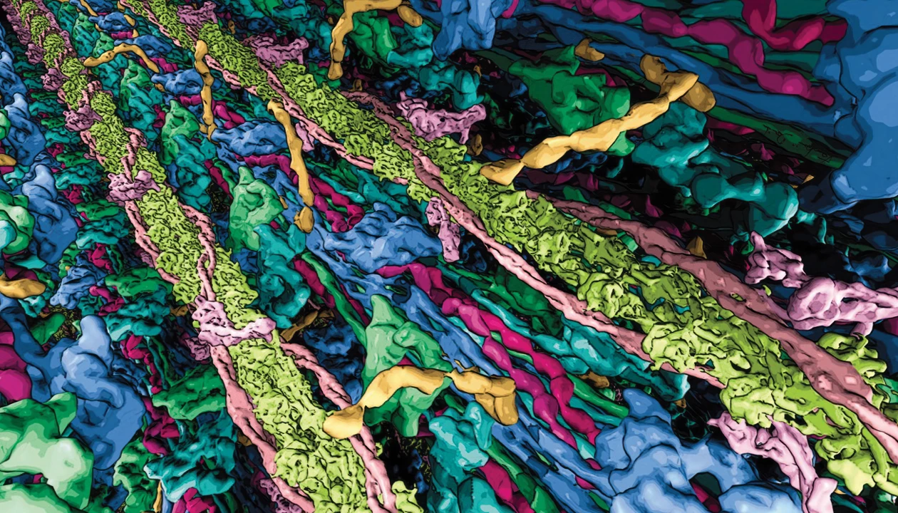 Structural biology in context