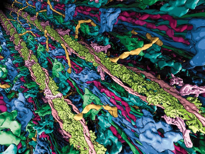 Structural biology in context