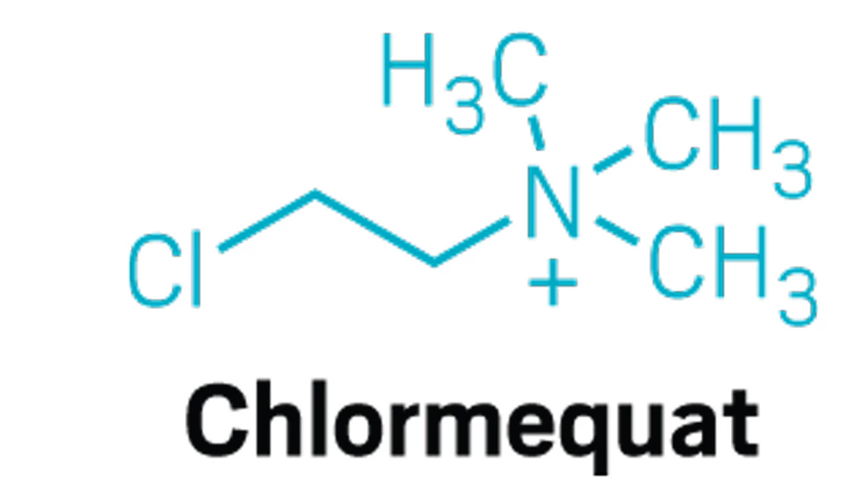 Chlormequat is on the rise in the US population