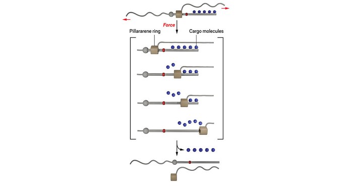Mechanochemistry strips cargo molecules from a loaded rotaxane