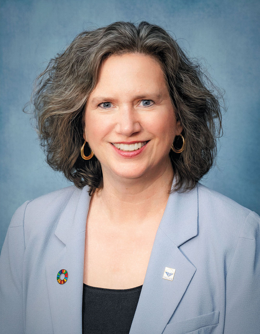 Comment: ACS initiatives communicating chemistry’s value