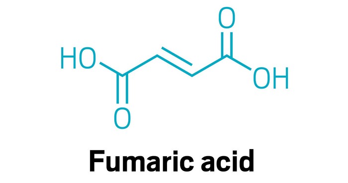 BASF pursues biobased fumaric acid