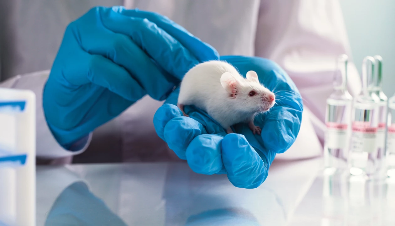 Most drugs tested in animals don’t progress to human approval