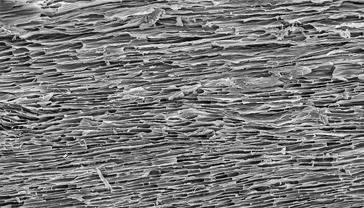 A biobased aerogel for radiative cooling