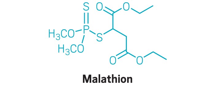 EPA seeks to lower risks of malathion