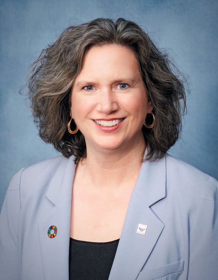 Comment: Global Representation on the ACS Council