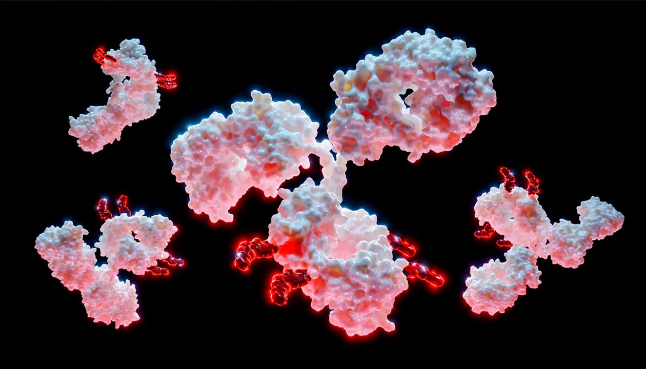 Thinking on linkers for antibody-drug conjugates