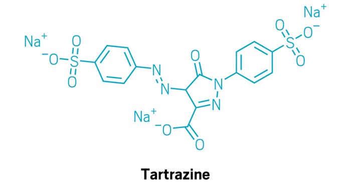 Food dye makes tissue temporarily transparent