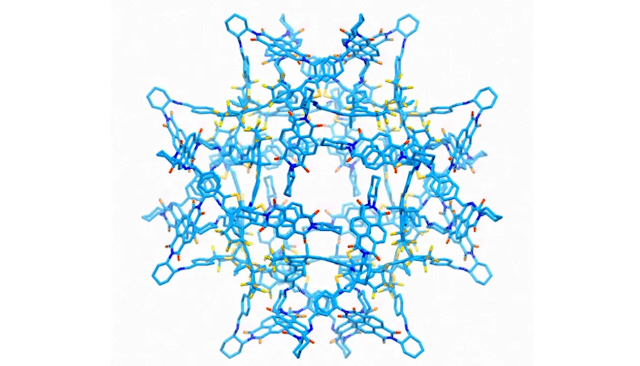 Making supramolecular snub cubes
