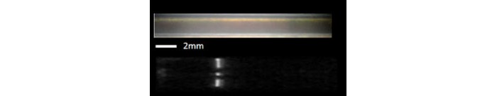 Spotting-Single-Strand