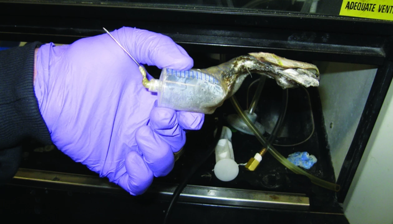 ‘Systemic Failures’ Cited In UCLA Lab Fatality