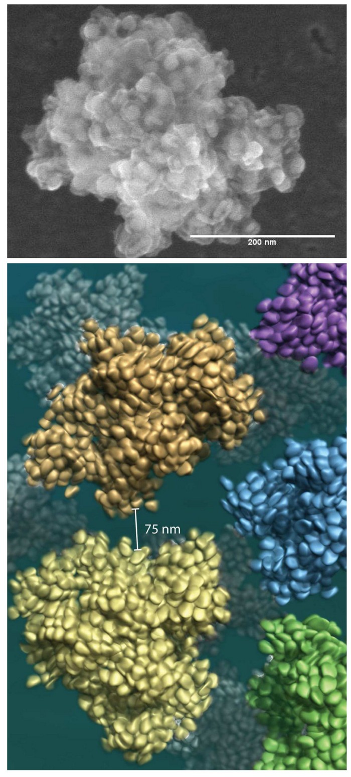 Protein-Drugs-Easy-Take