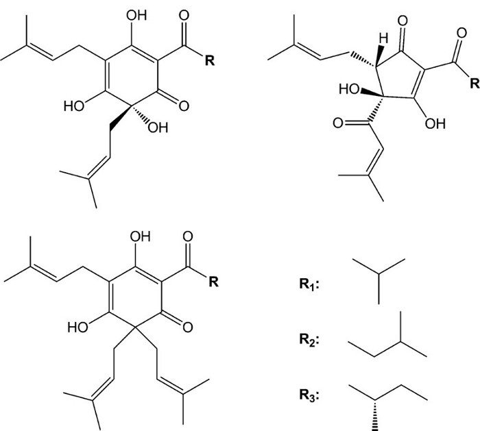 Beers-Bitter-Compounds-Stimulate-Stomach