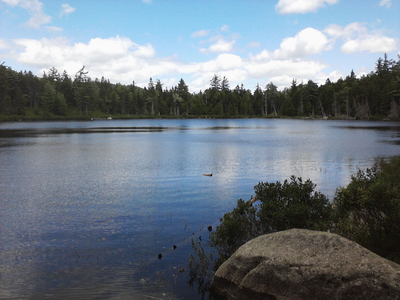 Effects Of Acid Rain On Lakes Acid Rain | Causes Of Acid Rain