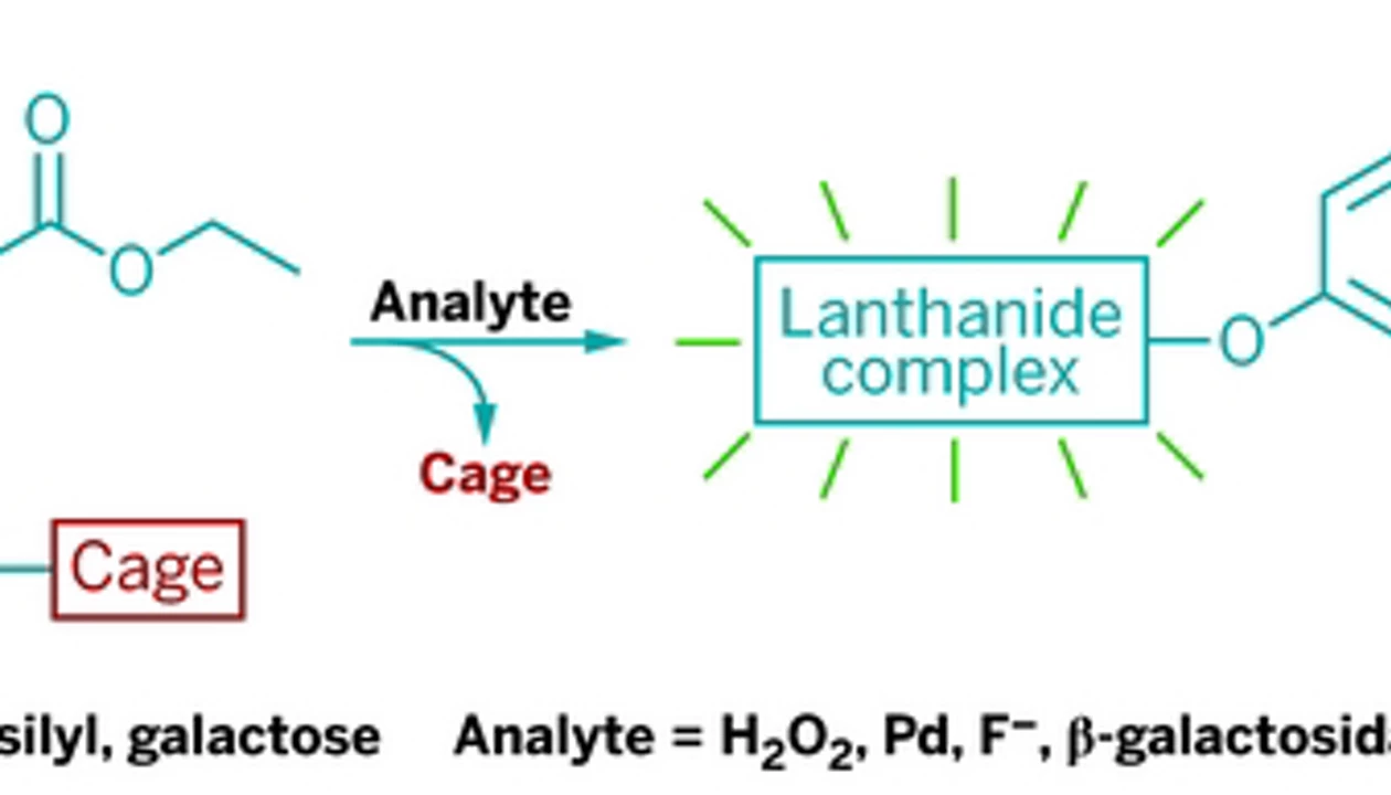 Custom Lanthanide Probes