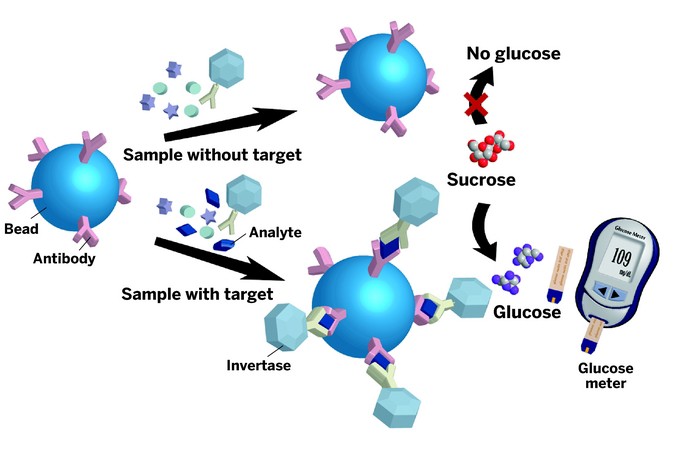 Coverage-Glucose-Meters