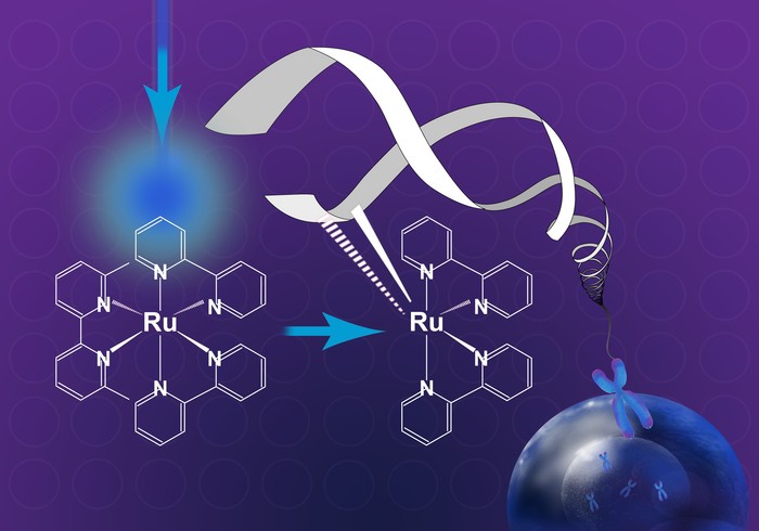 Turning-Ruthenium-Kill-Cancer-Cells