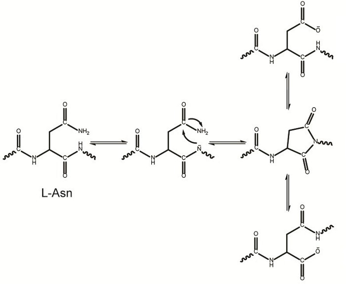 Spectroscopic-Technique-Spots-Effects-Deamidation