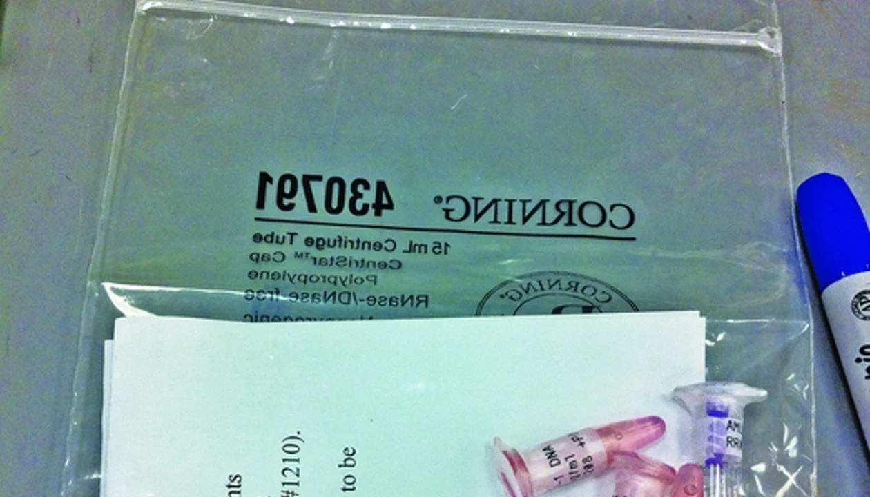 Pair Of Studies Rebuts Arsenic-Based Life