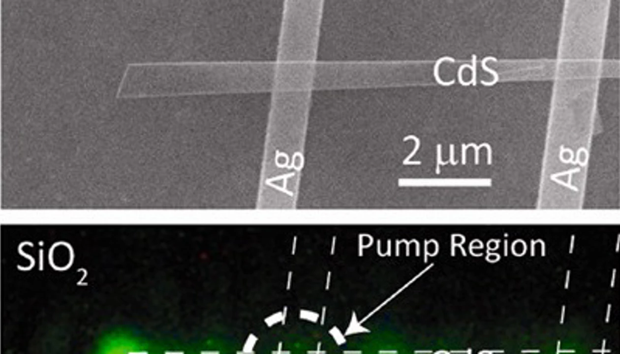 Researchers Build Compact Optical Circuit