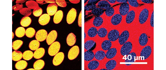 Identifying-Material-Evidence-Crime-Scene